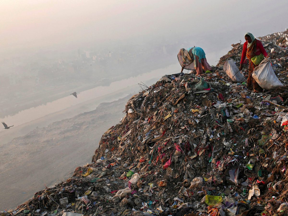 OMMX — The Plot Thickens